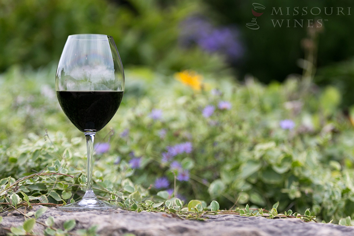 Norton- The Story of an All-American Wine | MO Wine