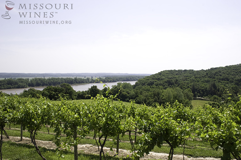 The Sustainability of Missouri Wine Country | MO Wine
