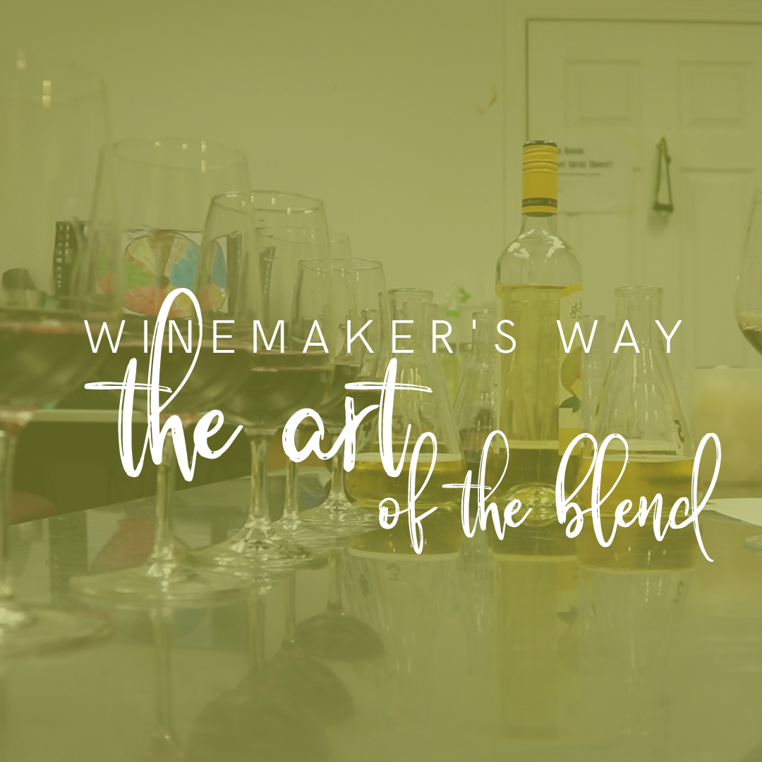 Winemaker’s Way: The Art of the Blend | MO Wines
